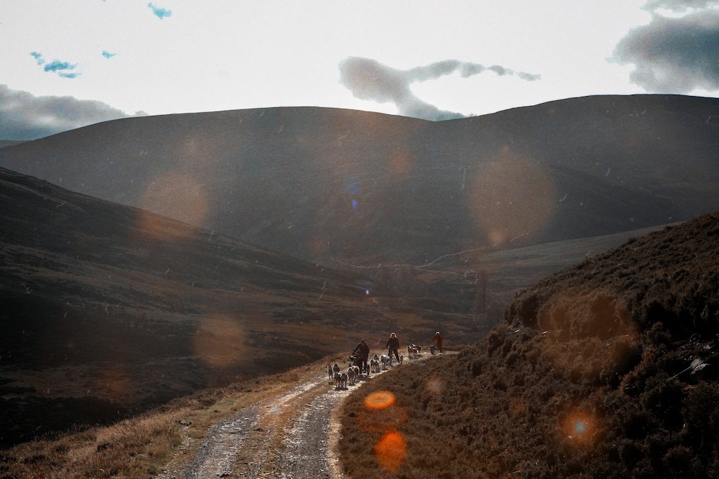 BORN TO RUN - Unique Highland Husky Run at The Fife Arms this winter ...